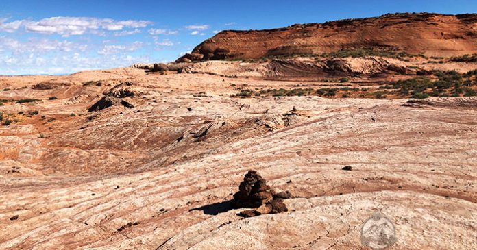 Coyote Gulch: Guide to Hiking & Backpacking (Jacob Hamblin Arch Map ...