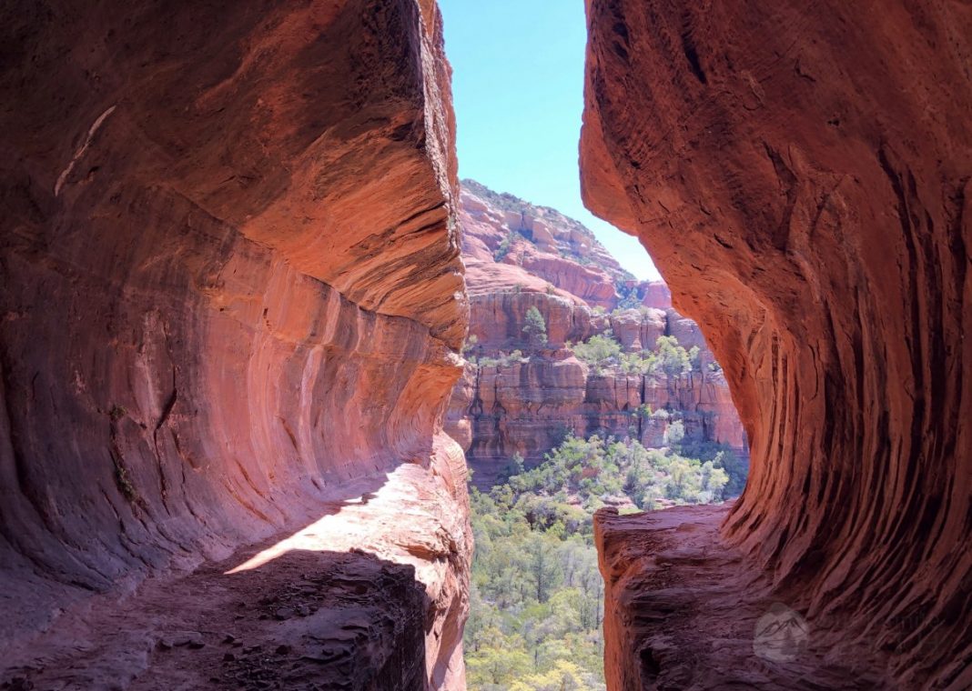 Finding the "Secret" Subway Cave in Sedona (via Boynton Canyon Trail)