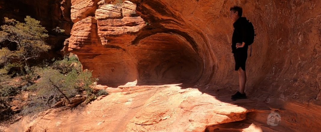 Finding the "Secret" Subway Cave in Sedona (via Boynton Canyon Trail)