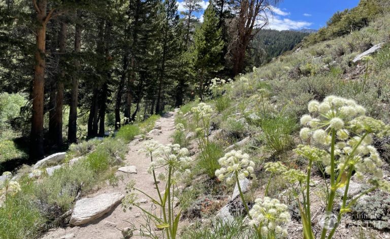 Big Pine Lakes Backpacking/Hiking Guide • North Fork Trail of Big Pine ...